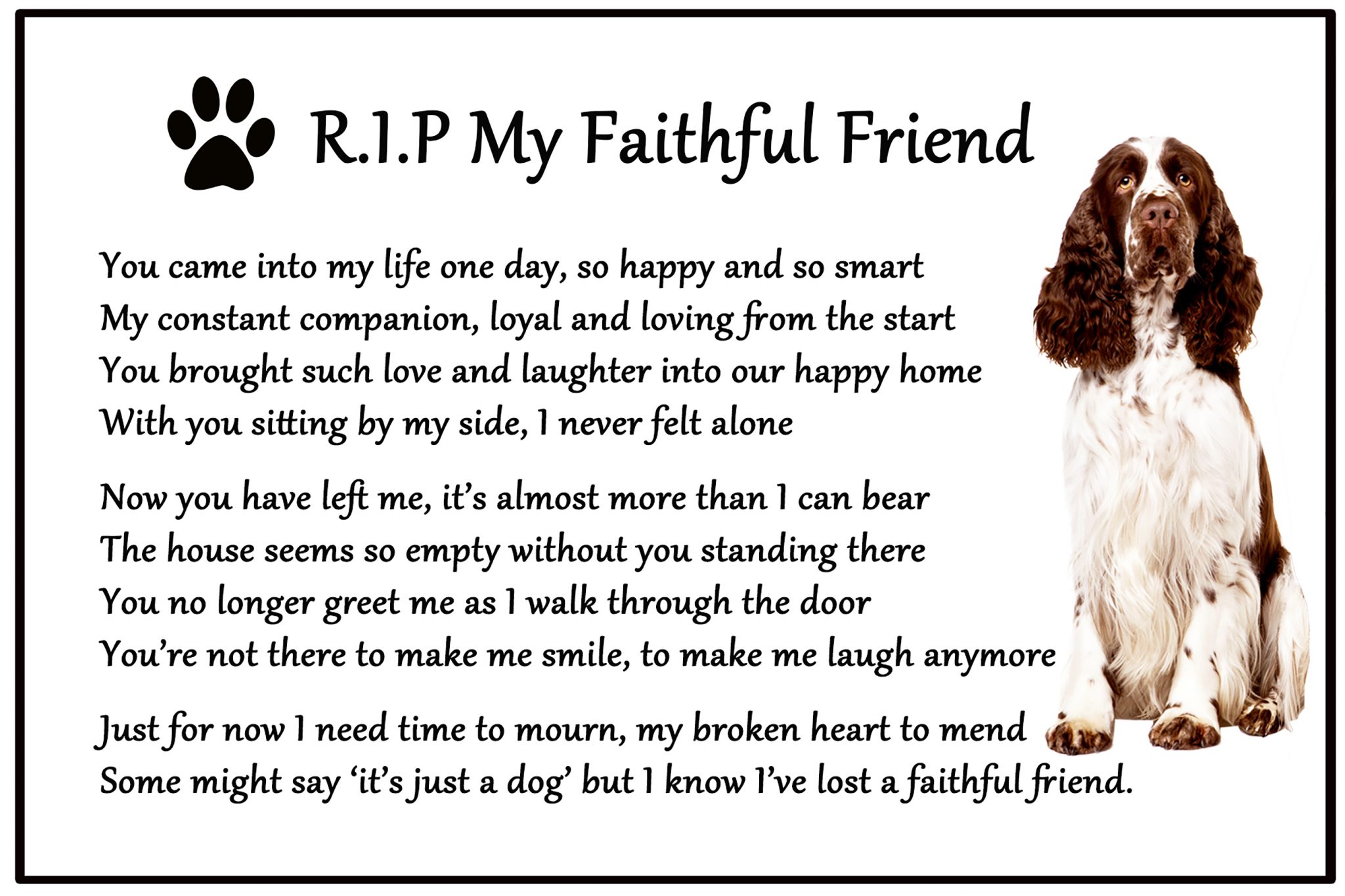 Springer Spaniel Dog Bereavement Gift Magnet – RIP My Faithful Friend ...