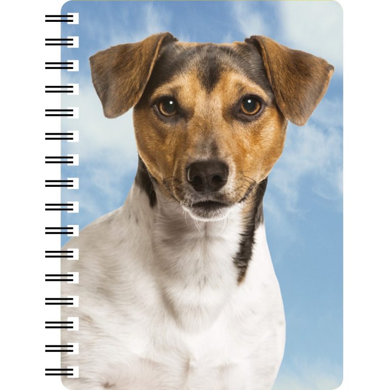 Jack Russell Terrier Gift – Fun Novelty Mouse Mat Pad (I’m Online) Size ...