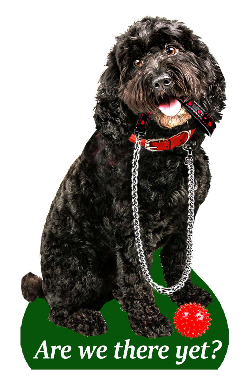 Cockapoo (Black) Car Air Fresheners x 2 pieces – Car Pets – Gifts for ...